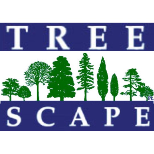 Treescape Professional Tree Services, Arborist in Heatherton VIC - Oneflare